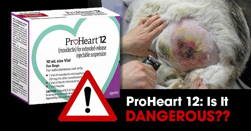 FDA Approves Potentially Deadly Proheart 12 For Dogs | Dogs Naturally