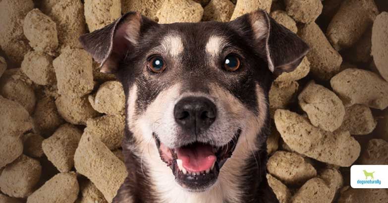 Freeze-Dried Dog Food: The Pros And Cons - Dogs Naturally