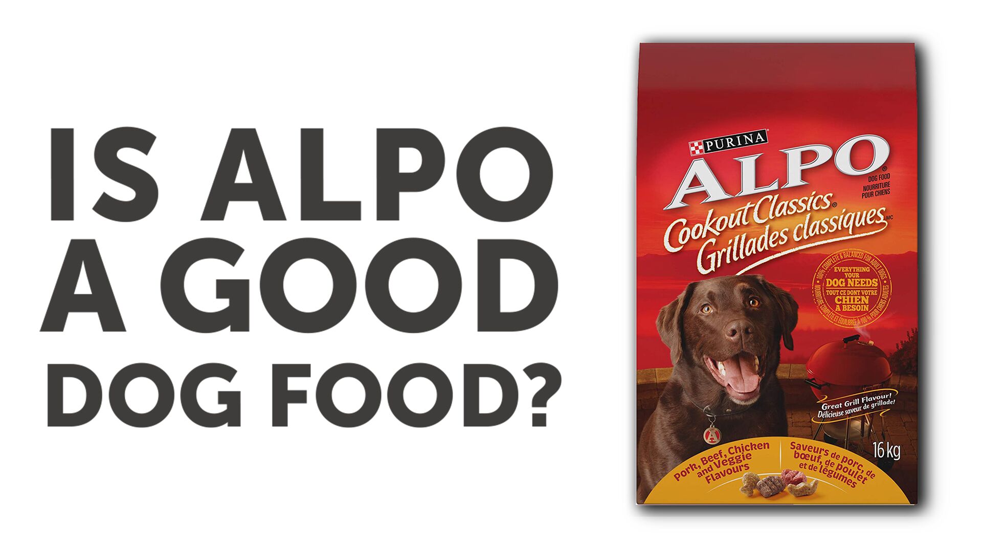 Purina Alpo Dog Food Review - Dogs Naturally