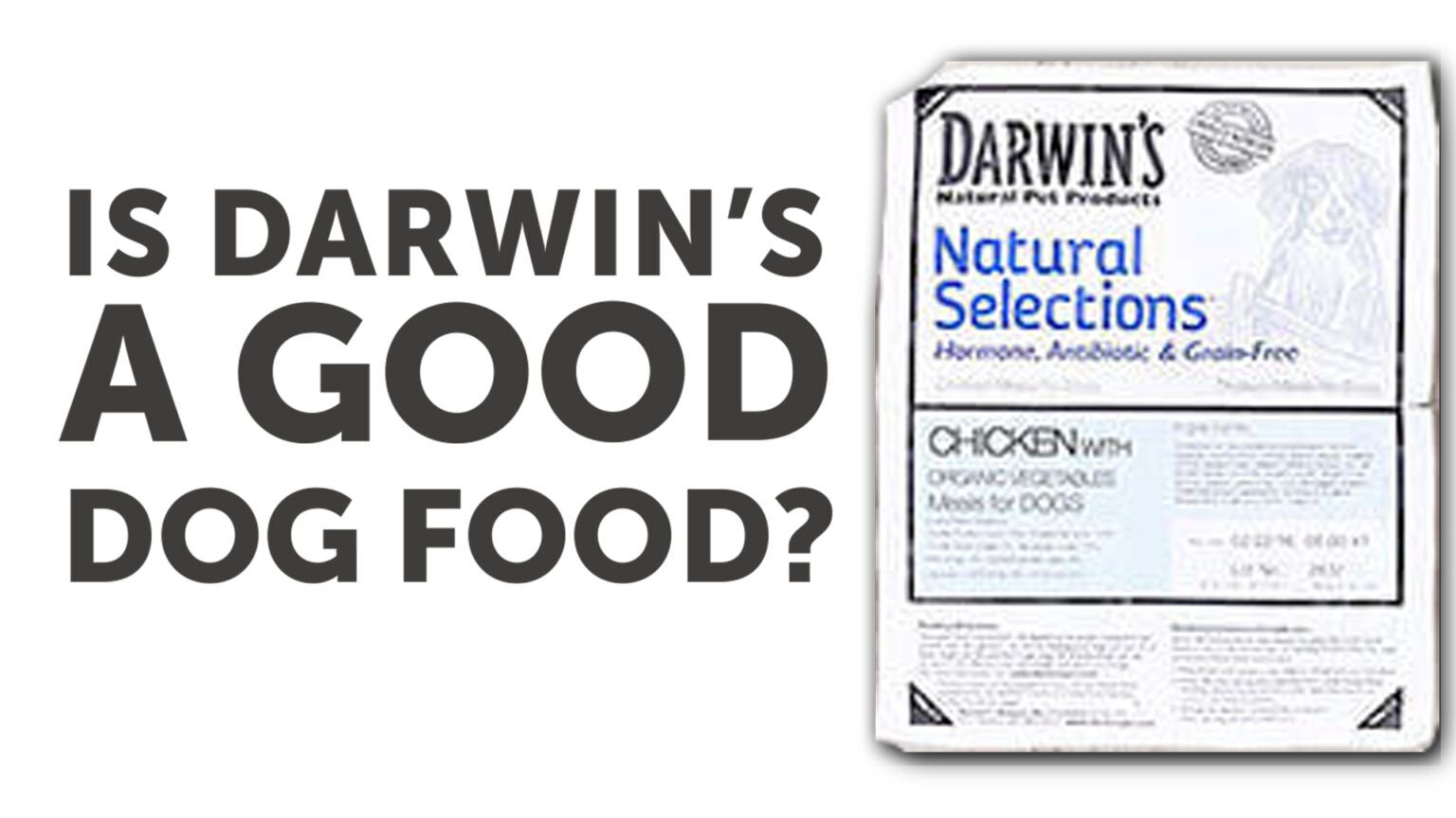 Darwin’s Dog Food Review - Dogs Naturally