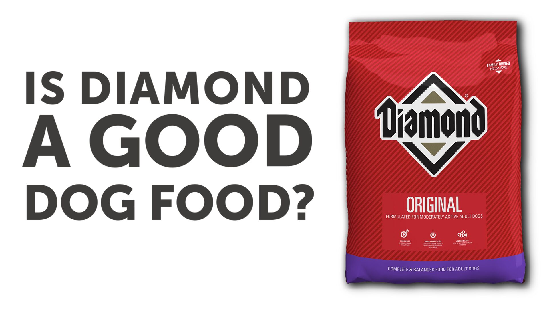 Diamond Pet Foods Dog Food Review - Dogs Naturally