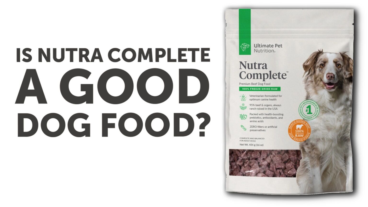 NUTRA COMPLETE DOG FOOD REVIEW - Dogs Naturally